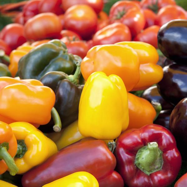 Food - Vegetables/Nightshade (NIT) – Ergopathics Canada